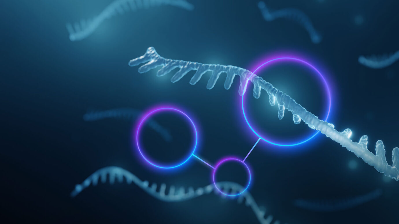 Culture and people - Maravai LifeSciences