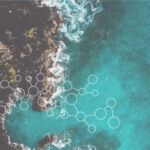 Maravai LifeSciences